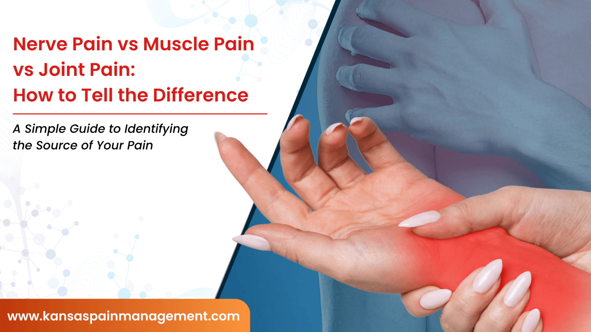 Nerve vs Muscle vs Joint Pain | How to Tell the Difference
